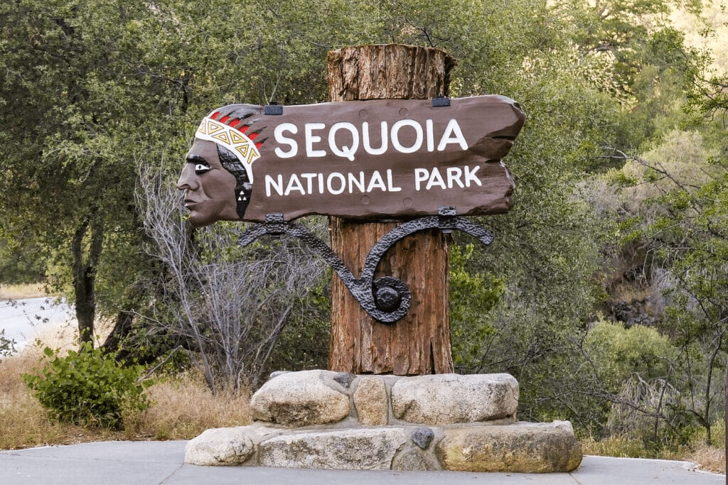 The Best Fun Time In USA National Parks - Tripps Plus