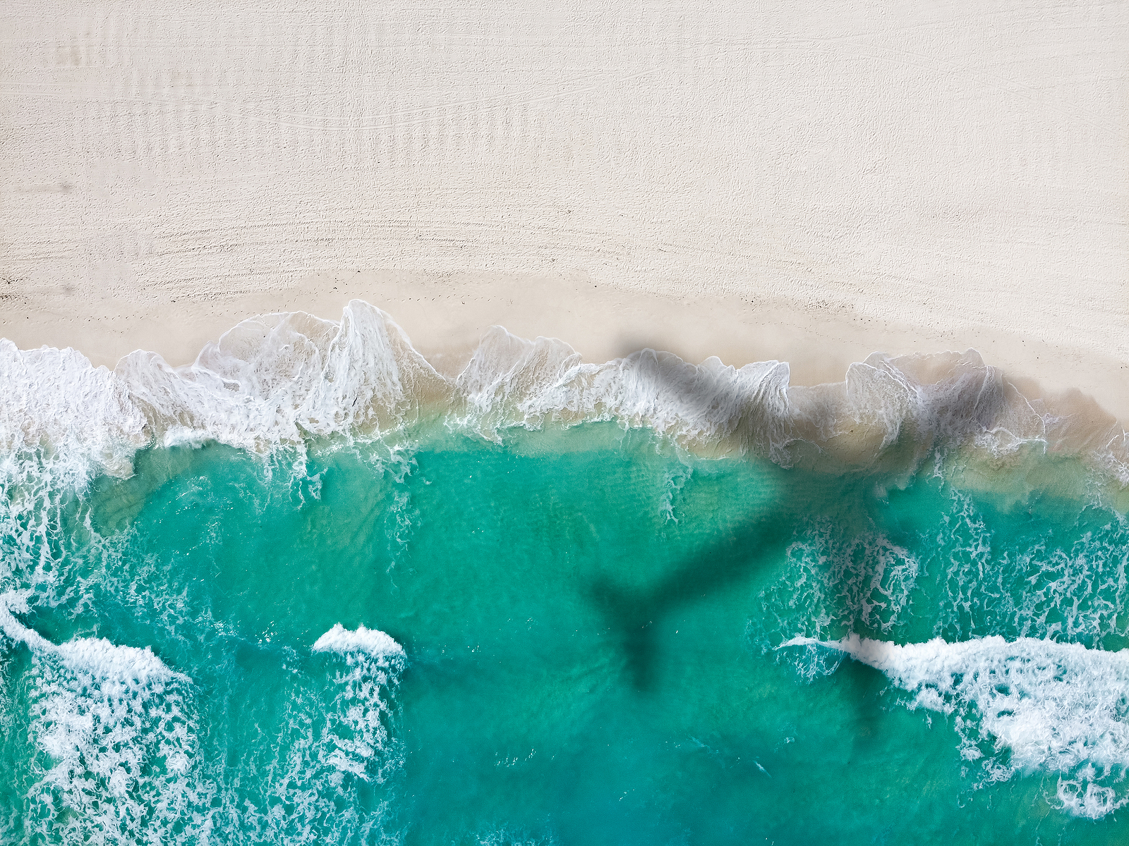 Top Beaches to Visit in 2023, according to Tripps Plus Las Vegas ...